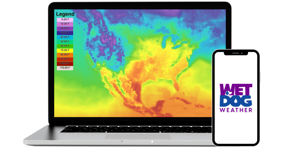 Stunning Weather Visualization, Designed to Impress - Wet Dog Weather